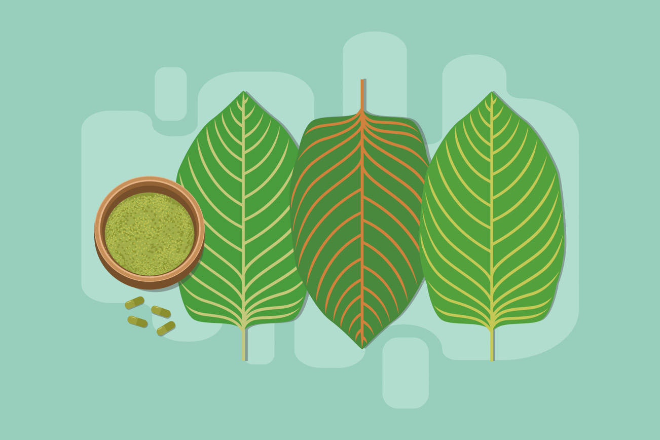6 Strongest Kratom Strains of 2024 - Bistro Grace